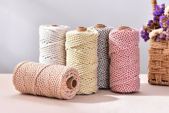 3.0MM Web Pattern Macrame Braid Rope Metallic Rope 23yards | Etsy
