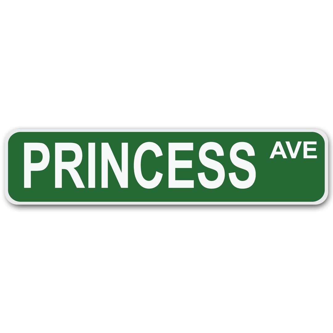 Princess Avenue 4" X 17" Aluminum Street Sign - Etsy