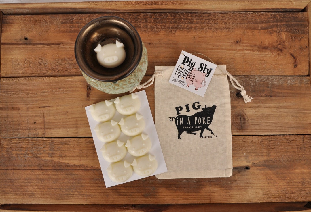 Soy Pig Wax Melts: Scented Sachet, Pig Lover Gift - Etsy