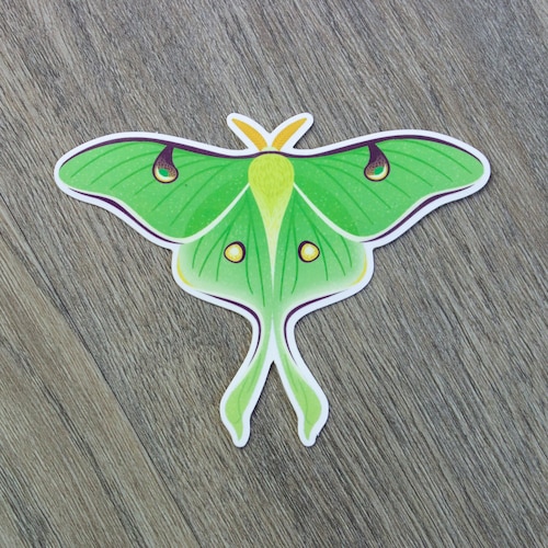 Luna Moth Sticker | Etsy