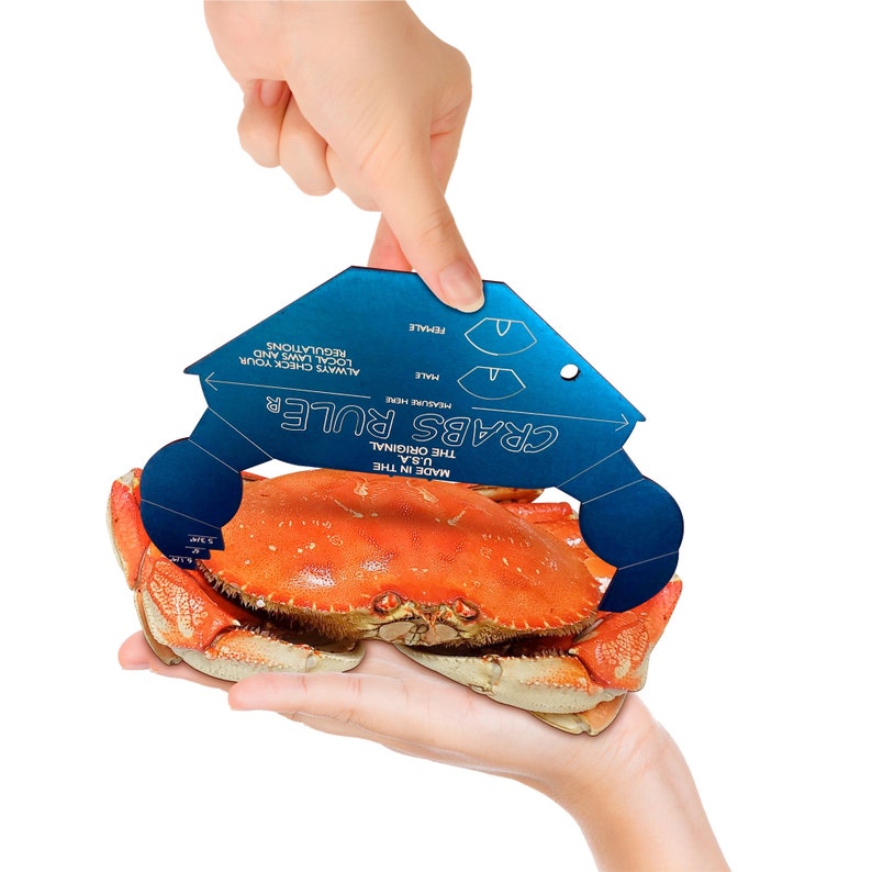 The Coolest Crab Gauge Ever - Etsy