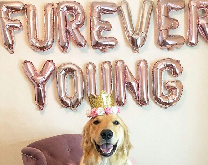 Dog Balloons Party Decorations Dog Party Decorations Dog | Etsy