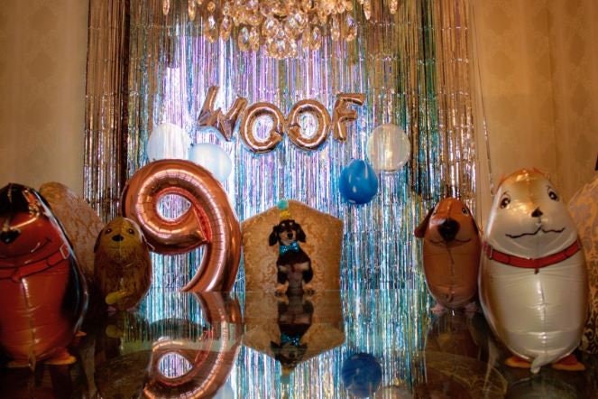 Dog Balloons Party Decorations Dog Party Decorations Dog - Etsy