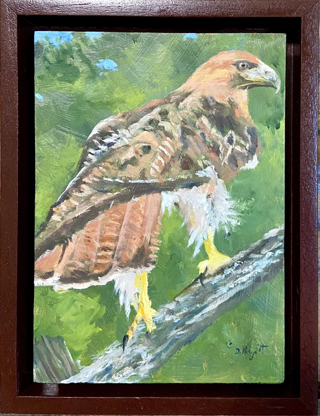 RED TAILED HAWK - Etsy