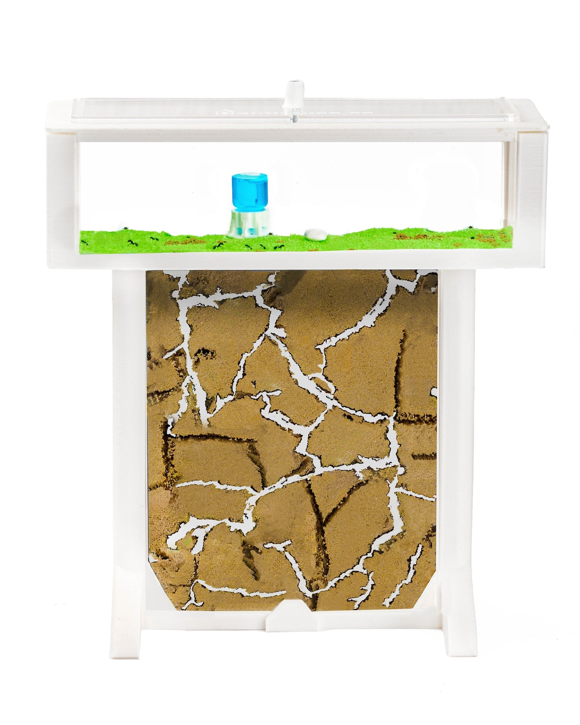 3D Sand Ant Farm T anthill Formicarium Educational Ants - Etsy