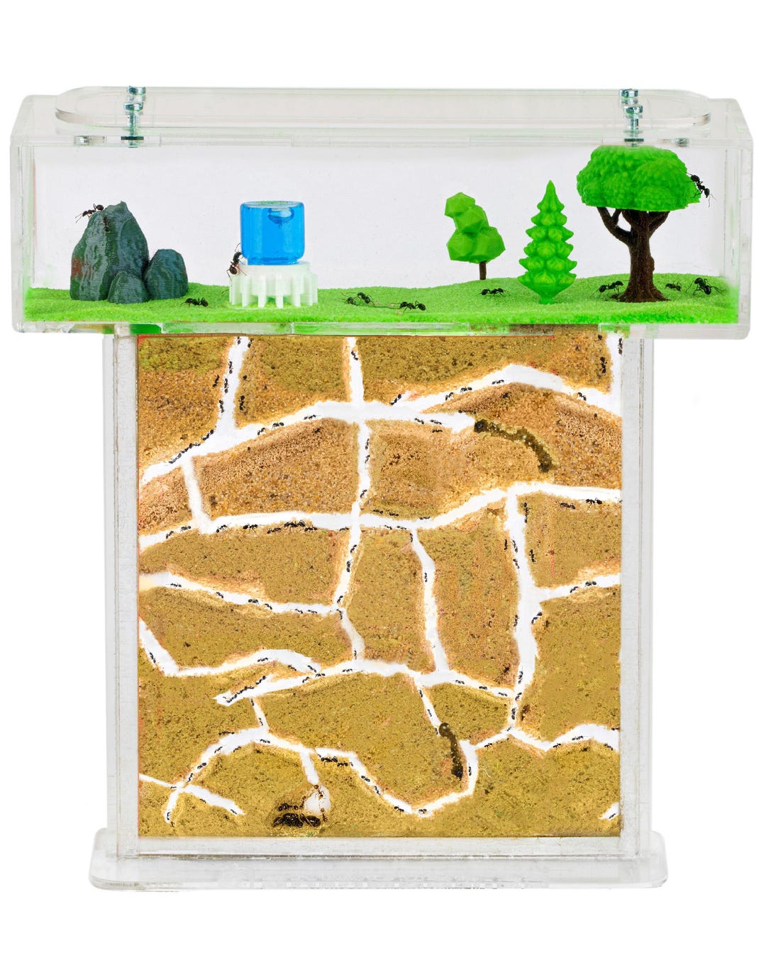 Sand Ant Farm T (anthill, Formicarium, Educational, Ants) NO ANTS - Etsy