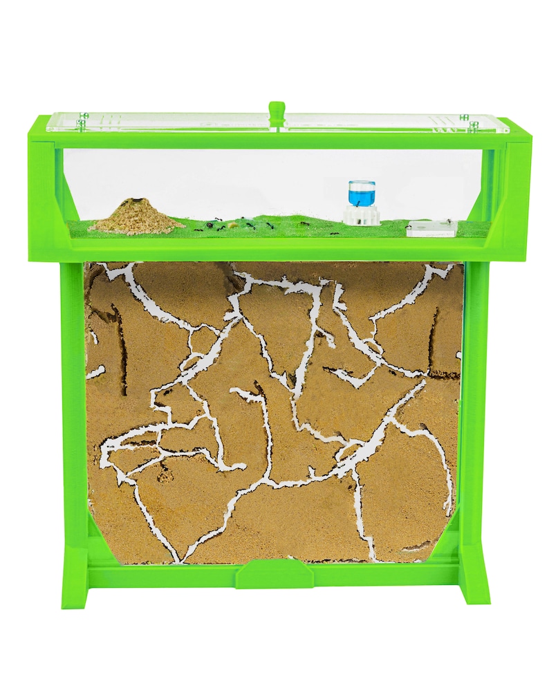 Sand Ant Farm T BIG 3D anthill Formicarium Educational | Etsy