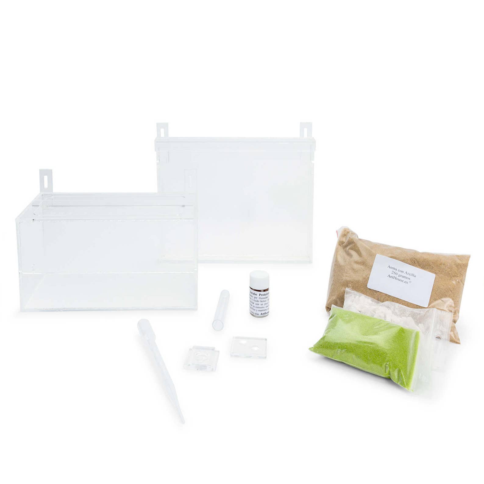 Sand Ant Farm Wall Kit anthill Formicarium Educational | Etsy