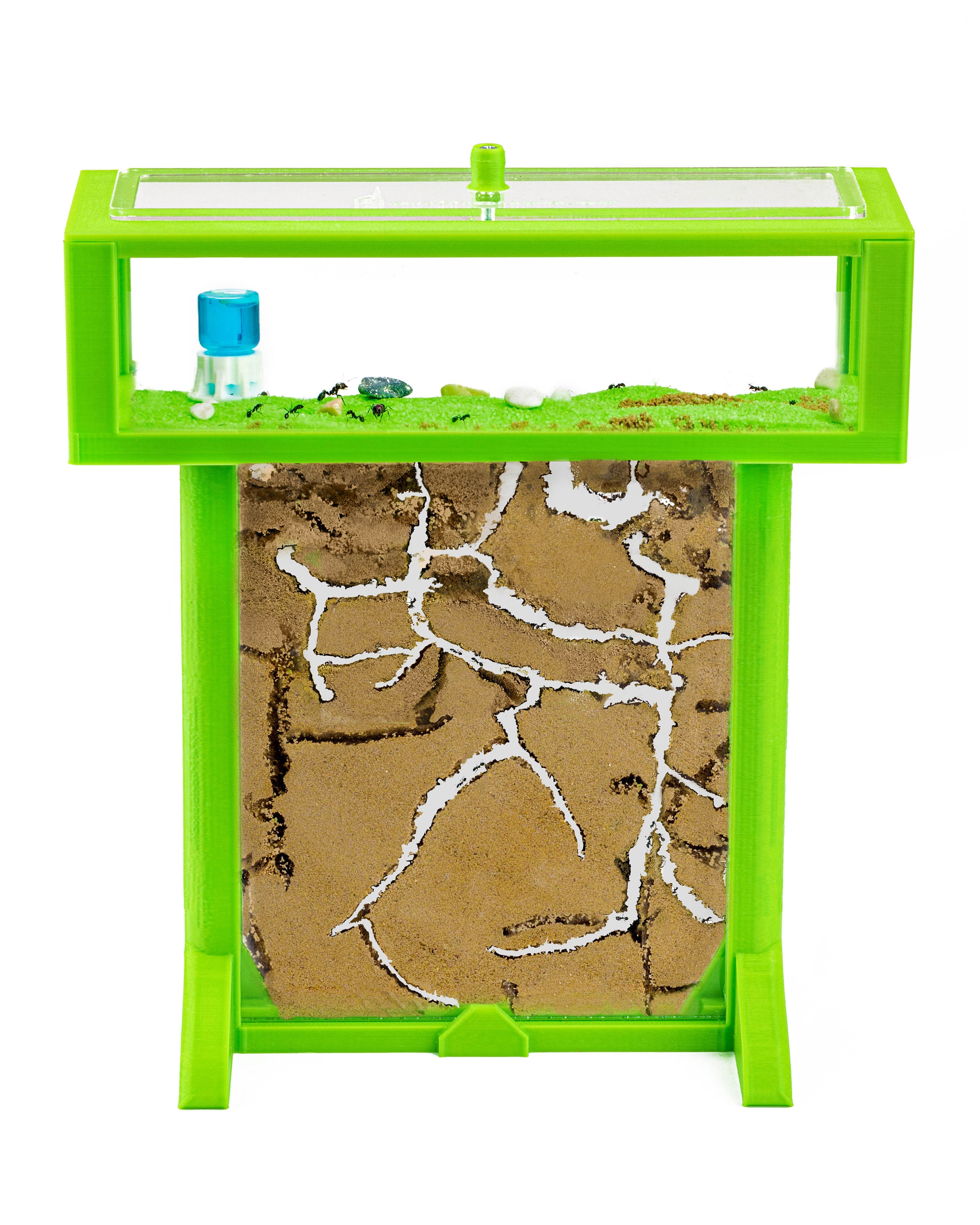 3D Sand Ant Farm T (anthill, Formicarium, Educational, Ants) NO ANTS - Etsy