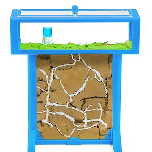 3D Sand Ant Farm T (anthill, Formicarium, Educational, Ants) NO ANTS - Etsy