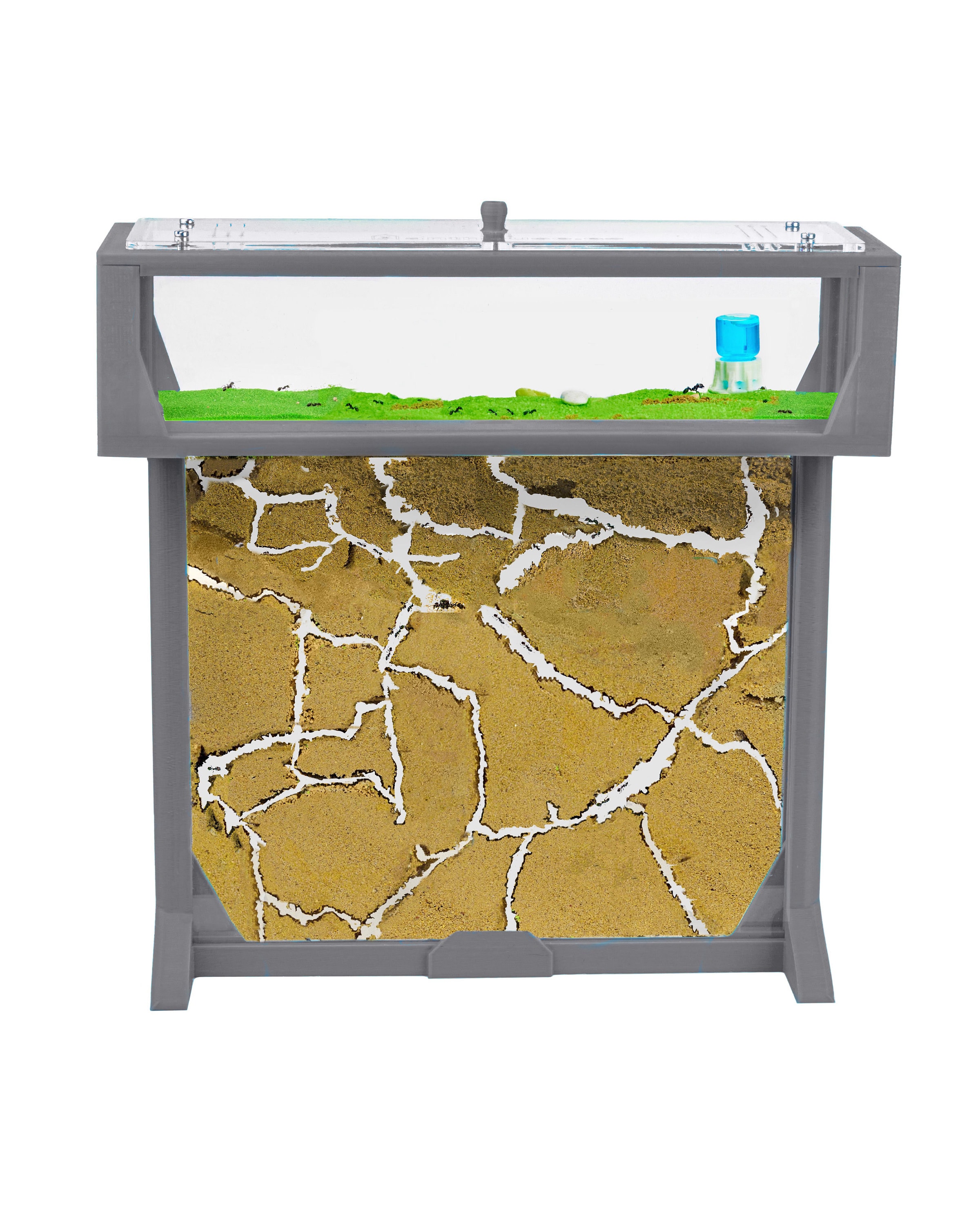 Sand Ant Farm T BIG 3D (anthill, Formicarium, Educational, Ants) NO ...