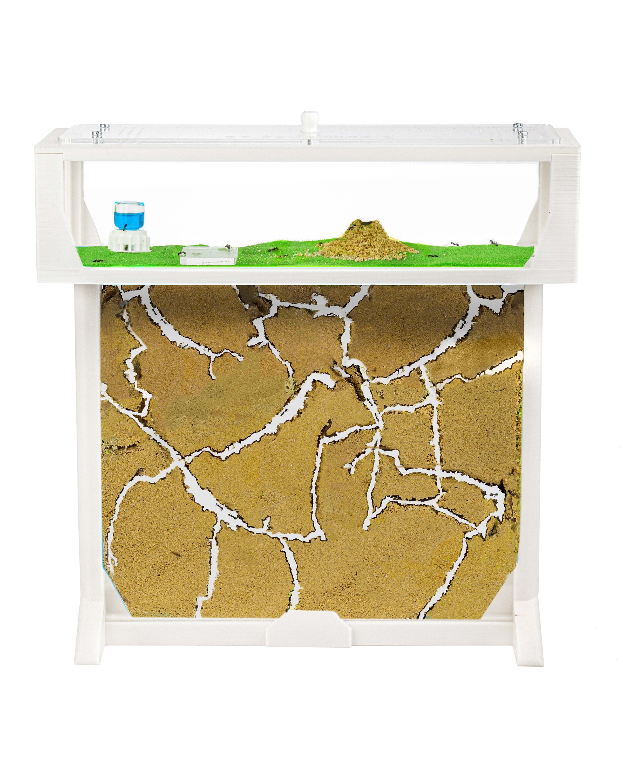 Sand Ant Farm T BIG 3D anthill Formicarium Educational - Etsy