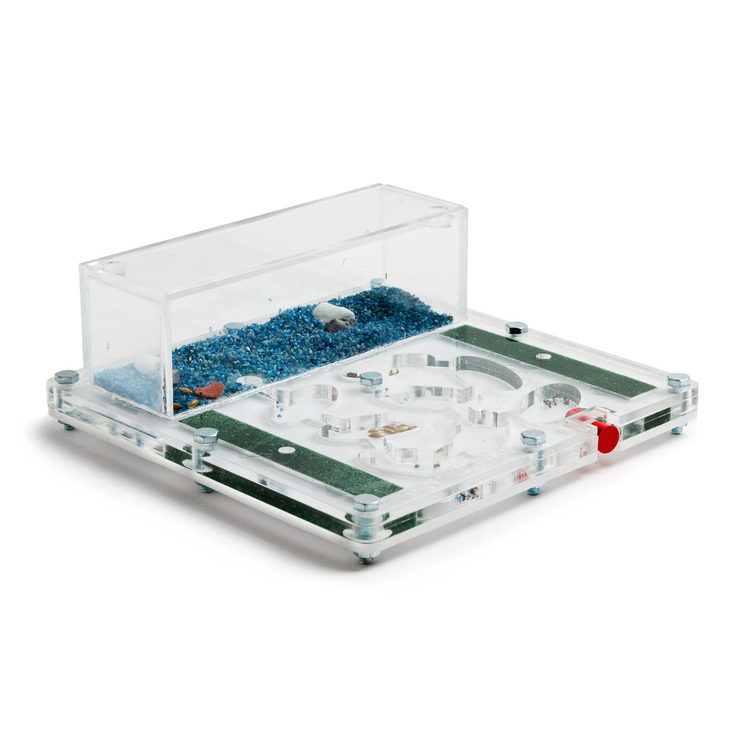 Ant Farm Educational Kit Free Ants with Queen | Etsy