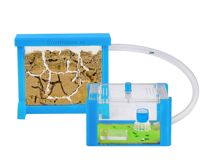 Sand Ant Farm Basic 3D anthill Formicarium Educational - Etsy Canada