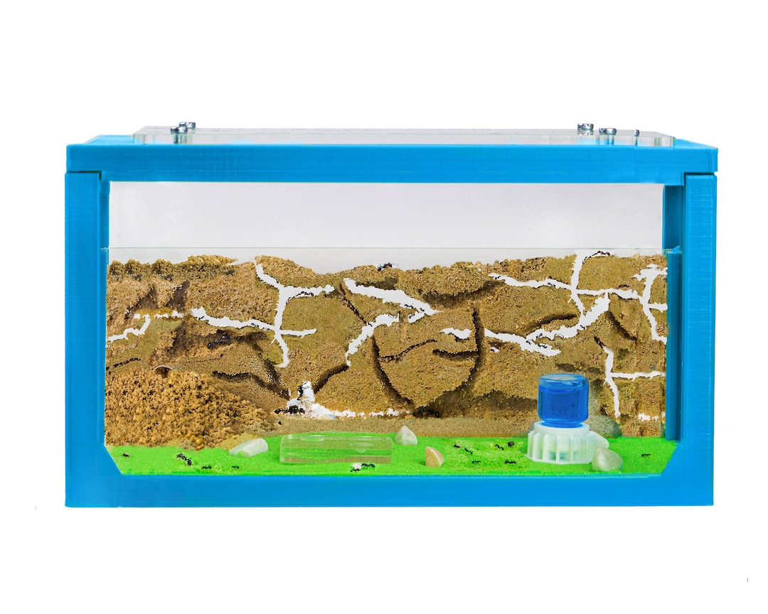 Sand Ant Farm 3D (anthill, Formicarium, Educational, Ants) NO ANTS - Etsy