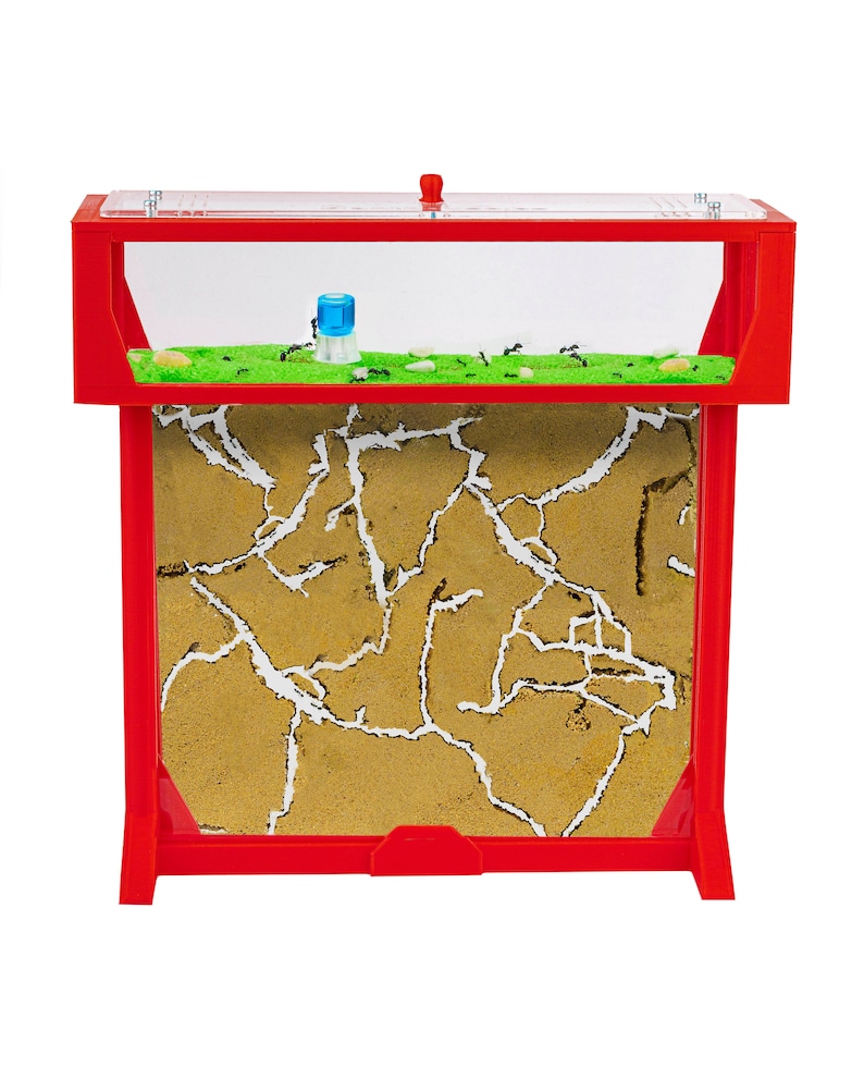 Sand Ant Farm T BIG 3D anthill Formicarium Educational | Etsy