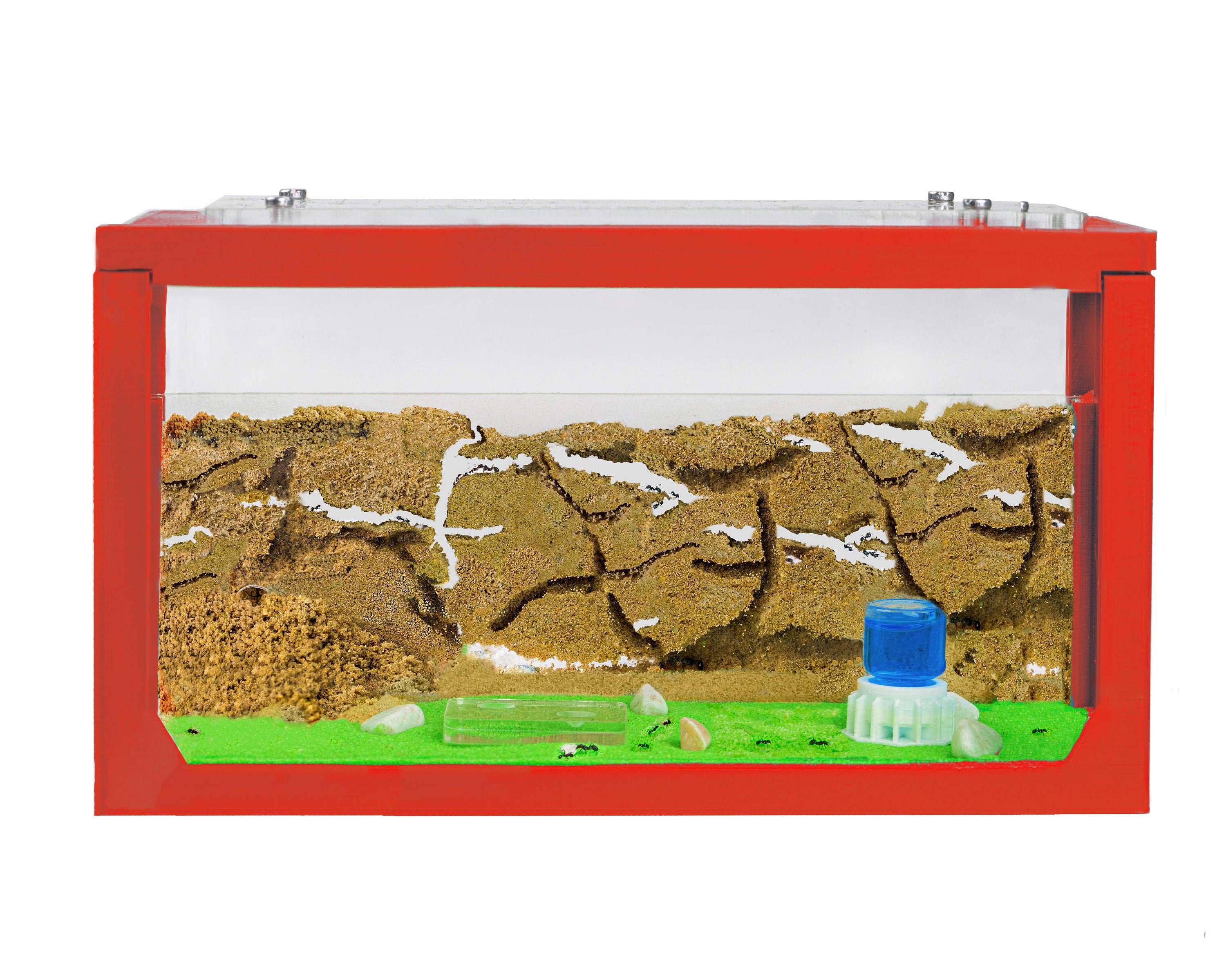 Sand Ant Farm 3D anthill Formicarium Educational Ants NO - Etsy