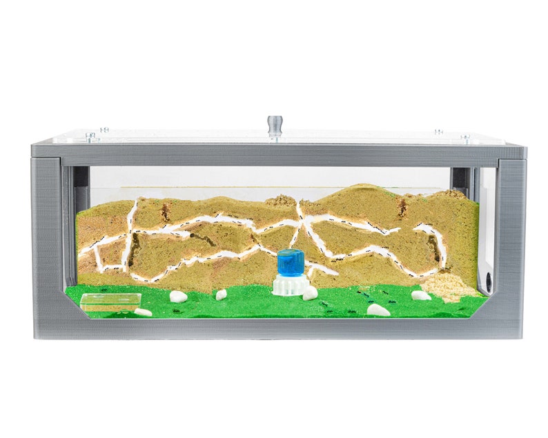Sand Ant Farm BIG 3D anthill Formicarium Educational Ants - Etsy