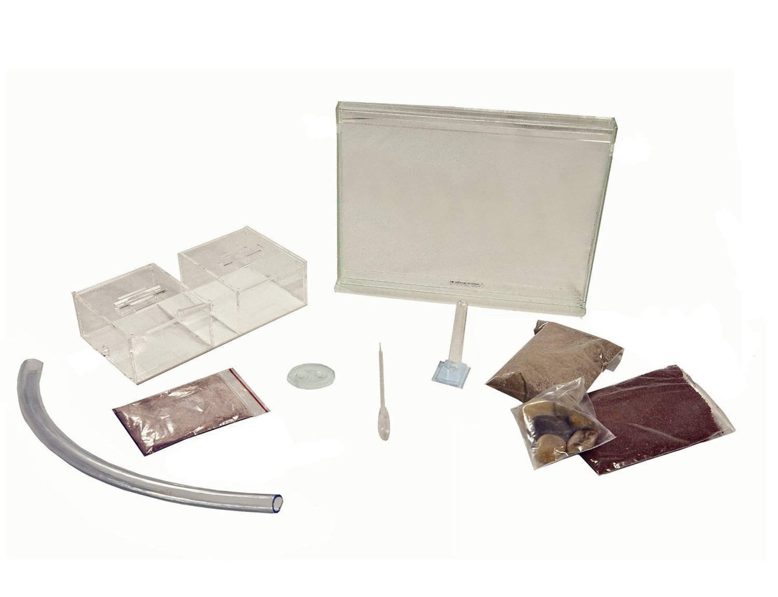 Sand Ant Farm Medium anthill Formicarium Educational Ants - Etsy Canada