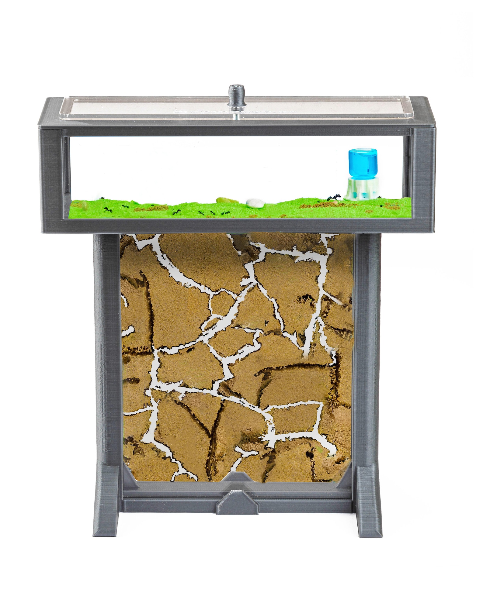 3D Sand Ant Farm T (anthill, Formicarium, Educational, Ants) NO ANTS - Etsy