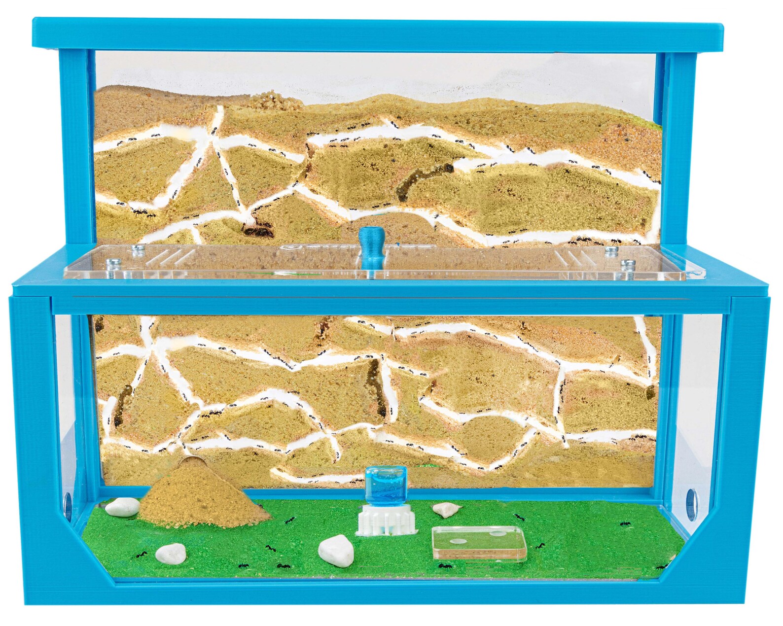 Anthouse Natural Sand Ants Kit L 3D sandwich Forage - Etsy
