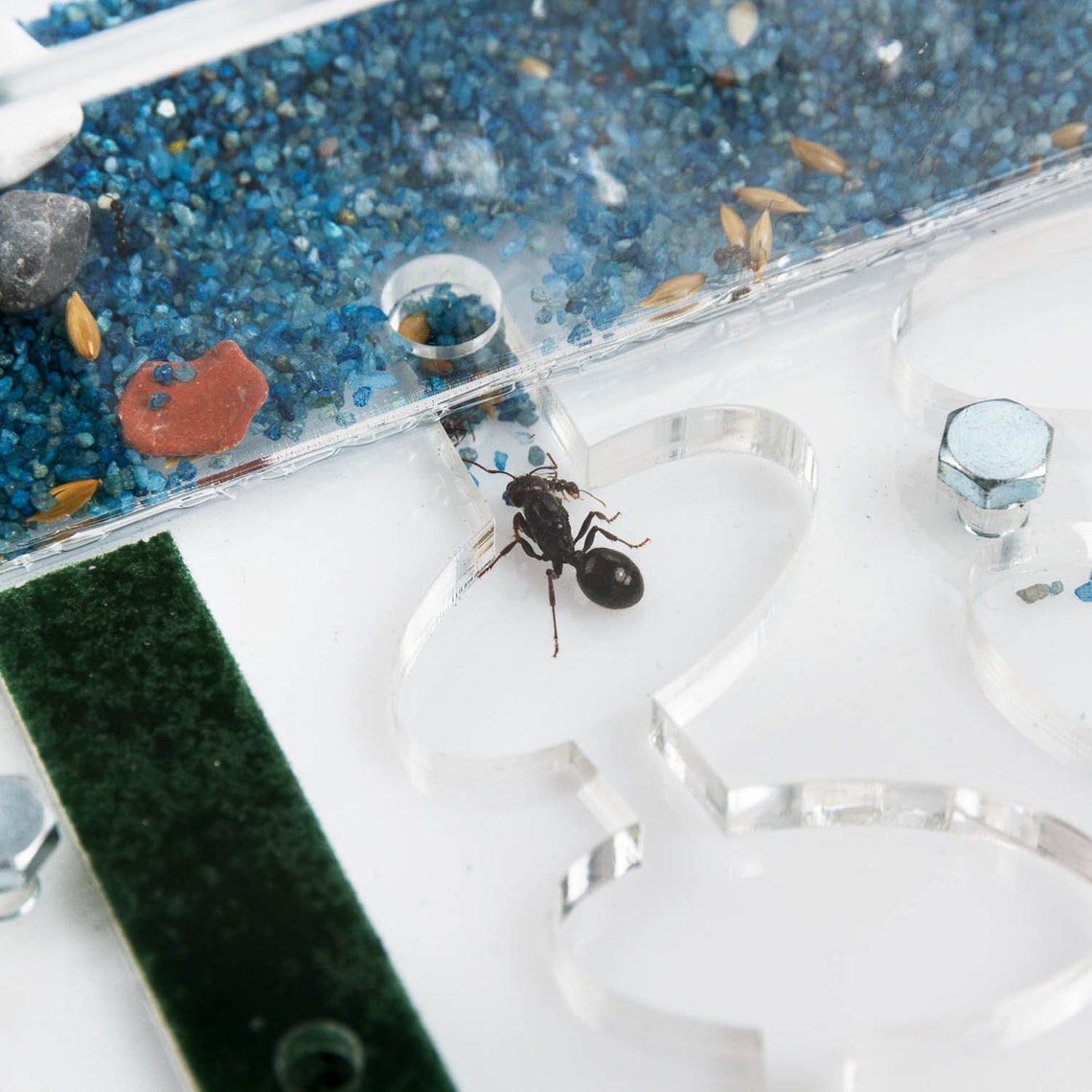 Ant Farm Educational Kit 15151 ant Nest Ant Habitat - Etsy
