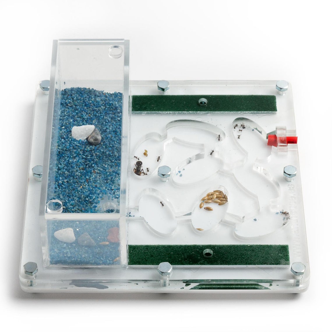 Ant Farm Educational Kit 15151 ant Nest Ant Habitat - Etsy