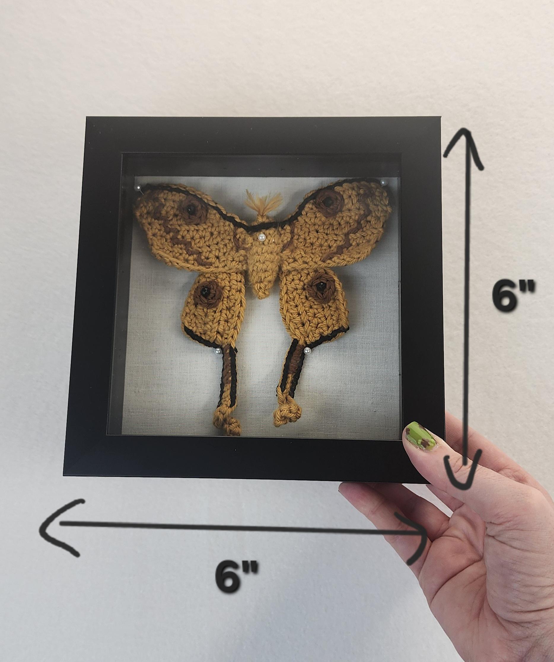 Faux Mounted Madagascar Luna Moth, Crochet Insect, Crochet Preserved ...