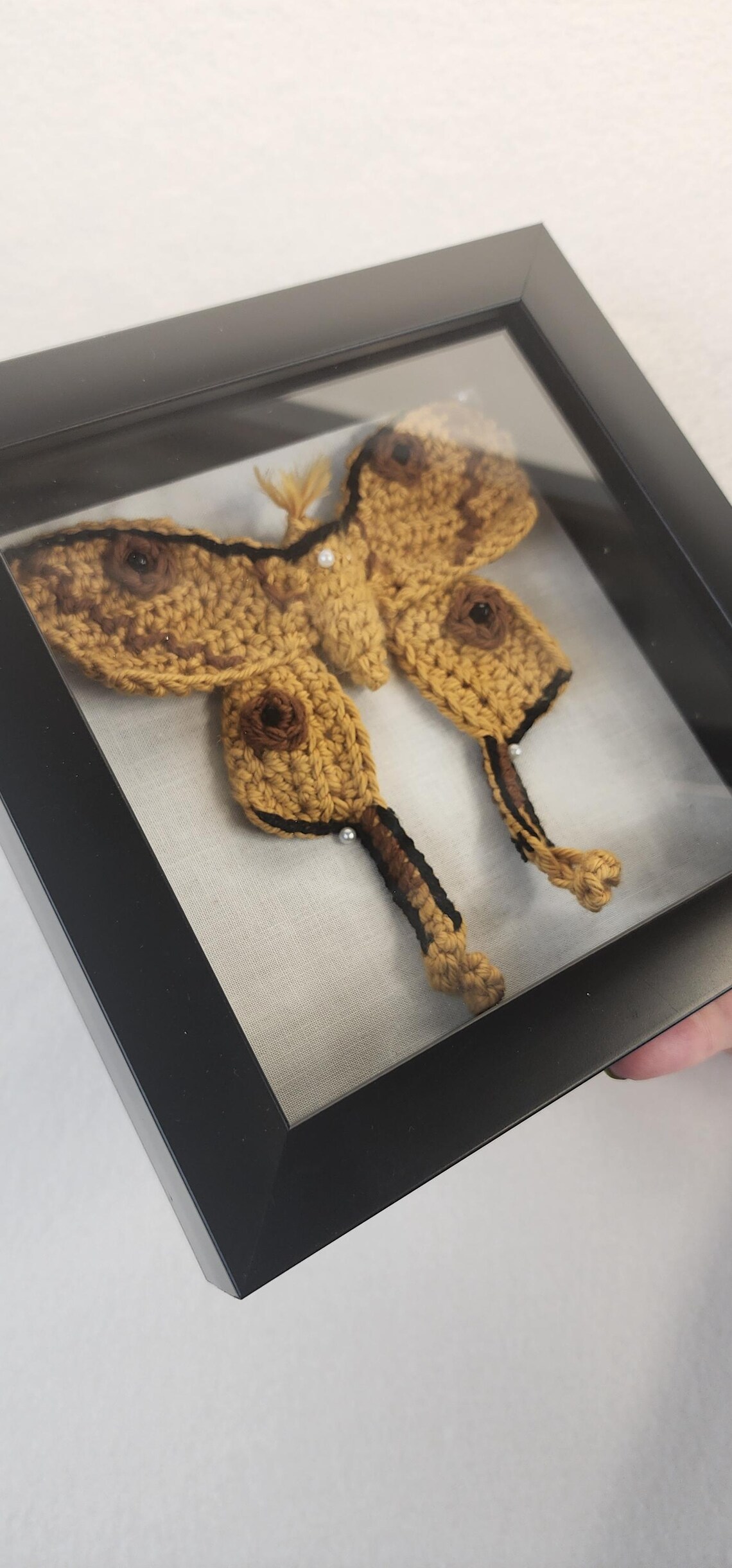 Faux Mounted Madagascar Luna Moth, Crochet Insect, Crochet Preserved ...