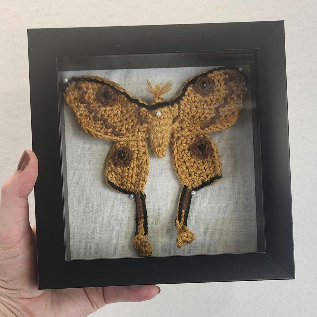 Faux Mounted Madagascar Luna Moth, Crochet Insect, Crochet Preserved ...