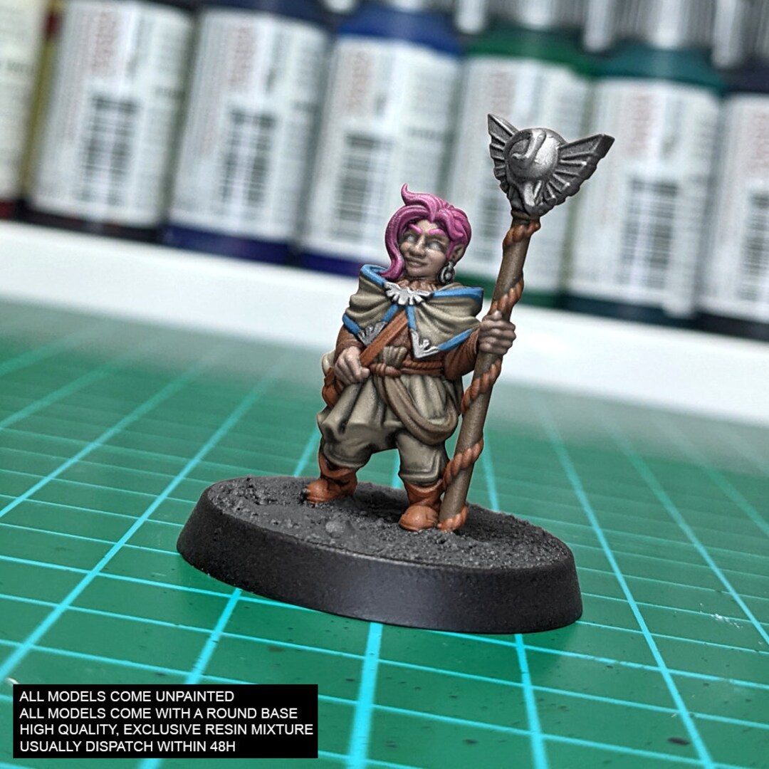 GNOME DRUID HEALER Fantasy: Frostgrave, Pathfinder, D&D, Resin ...