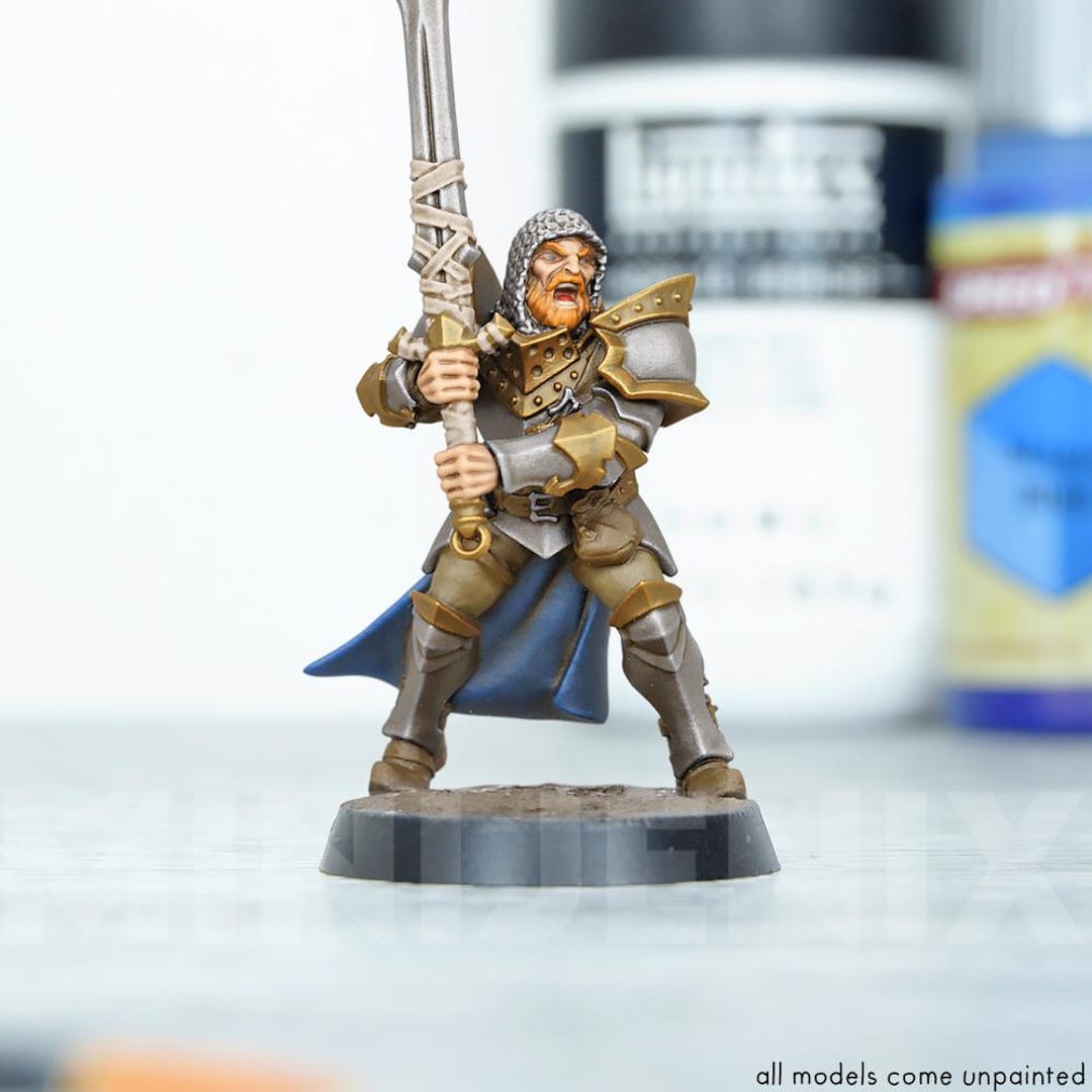 FIGHTERS GUILD KNIGHT || D&D, Heroquest, Frostgrave, Resin Miniature ...