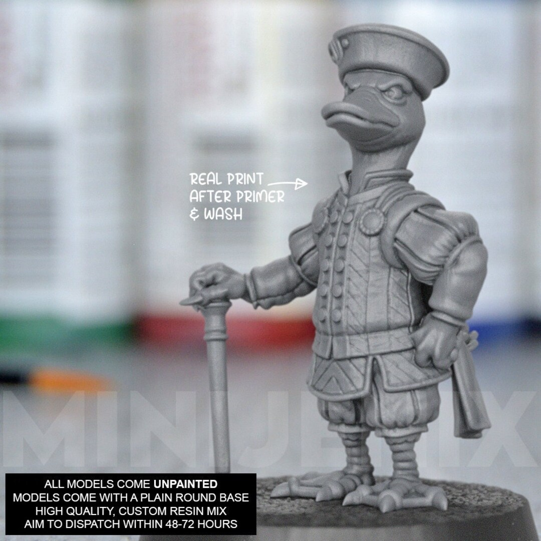 SIR REGINALD QUACKERS Fantasy: Frostgrave, Pathfinder, D&D, Resin ...