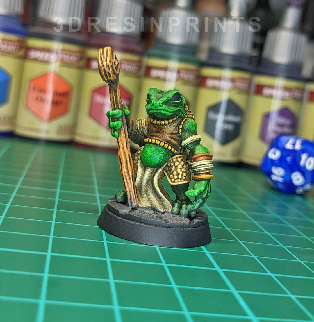 FROG SHAMAN HERO Fantasy: Frostgrave, Pathfinder, D&D, Painted Resin ...