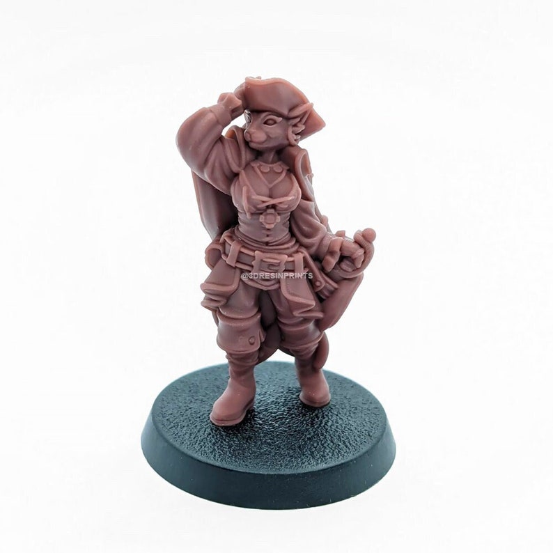 V25 CATFOLK PIRATE Fantasy Dnd Resin Tabletop Miniature - Etsy