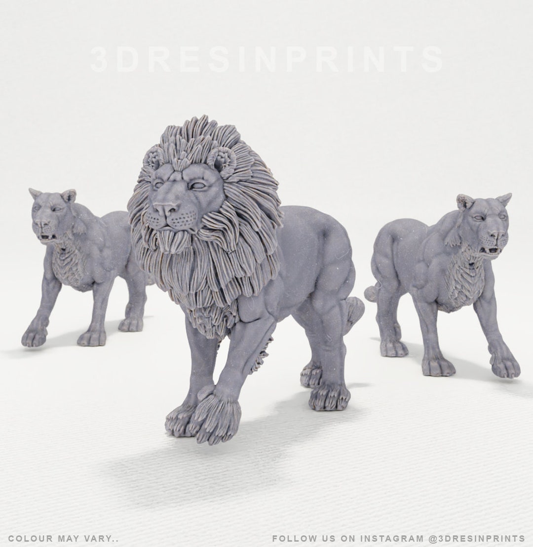 J24 LION PRIDE Fantasy: Frostgrave, Pathfinder, D&D, Resin Miniature - Etsy