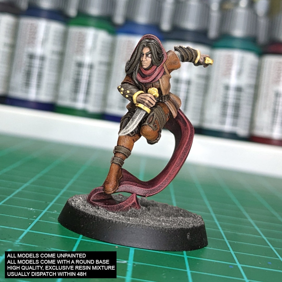 FEMALE ELF ROGUE Dnd Tabletop 3D Resin Miniature 28mm 32mm V37 - Etsy