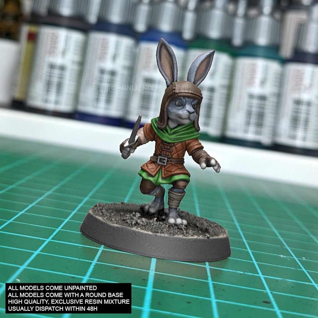 BUNNY ROGUE Fantasy: Frostgrave, Pathfinder, D&D, Resin Miniature E32 ...