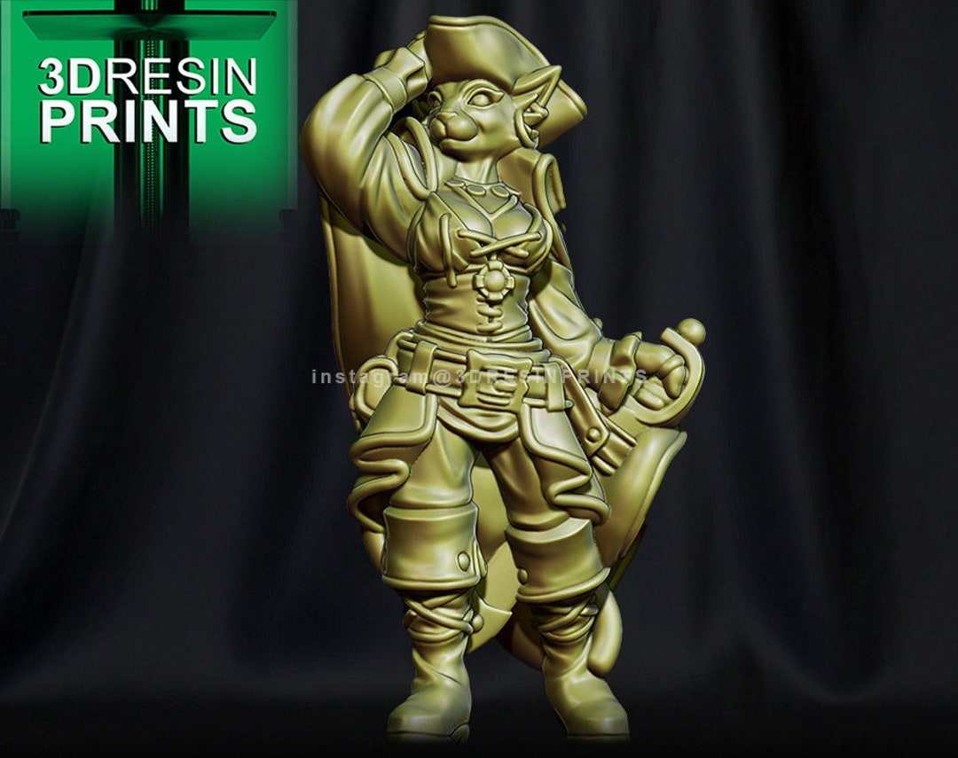 V25 CATFOLK PIRATE Fantasy Dnd Resin Tabletop Miniature - Etsy