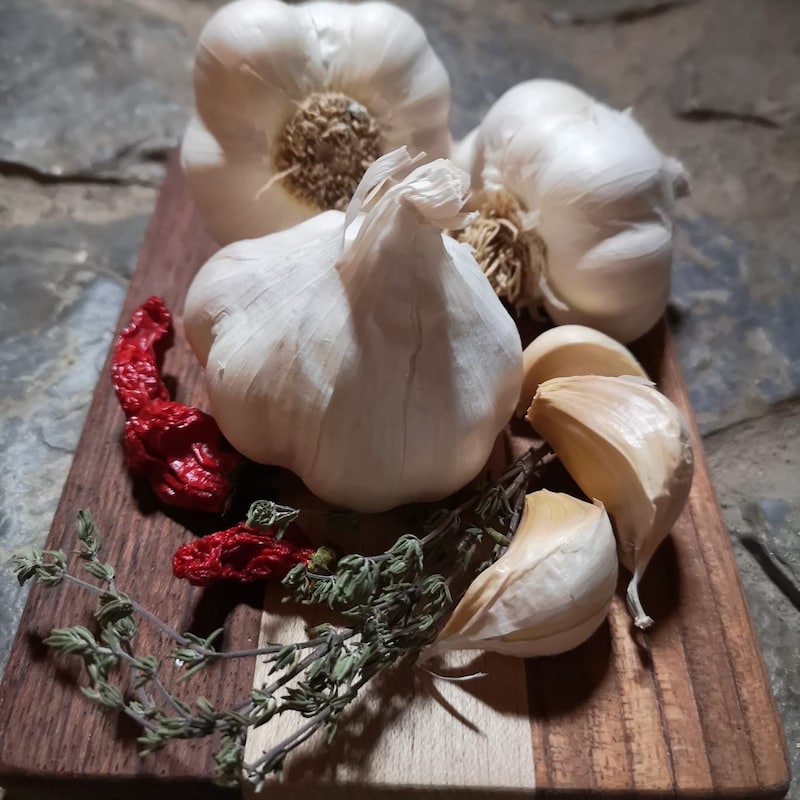 Society Garlic - Etsy