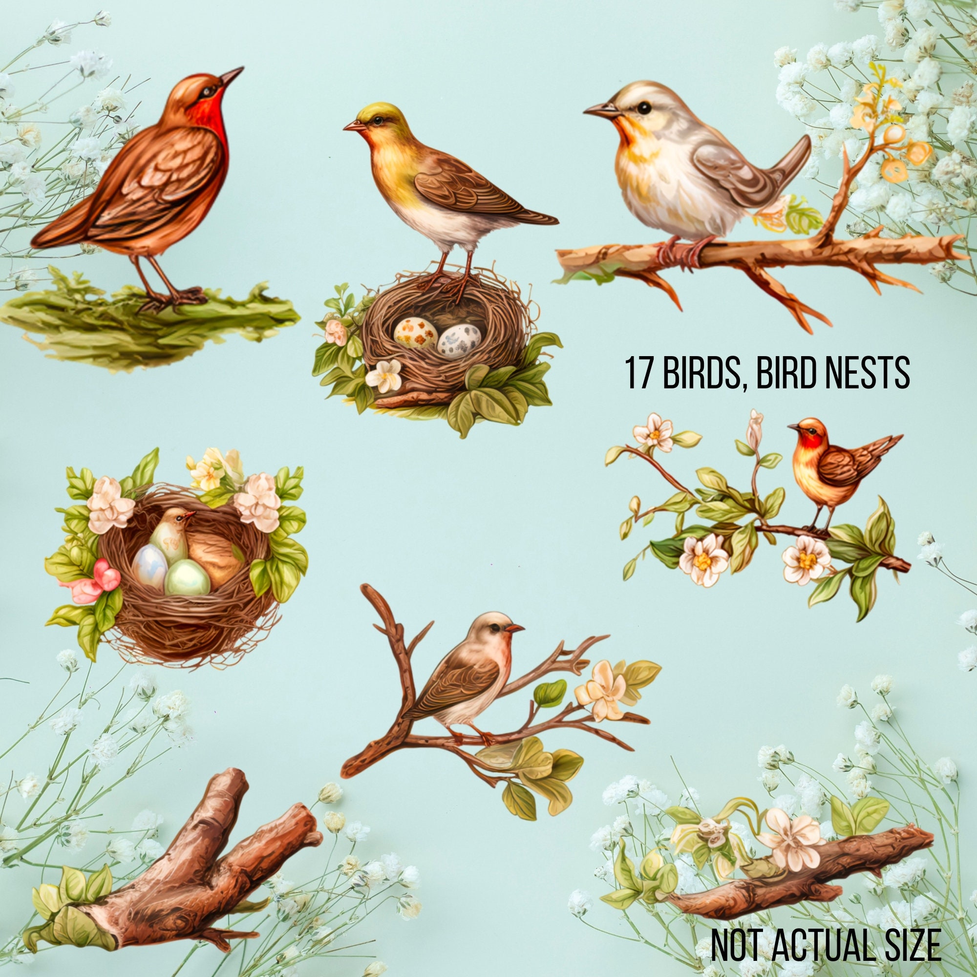 Cottage Core Clip Art, Birds, Bird House, Bird Nests, Flowers, Spring ...