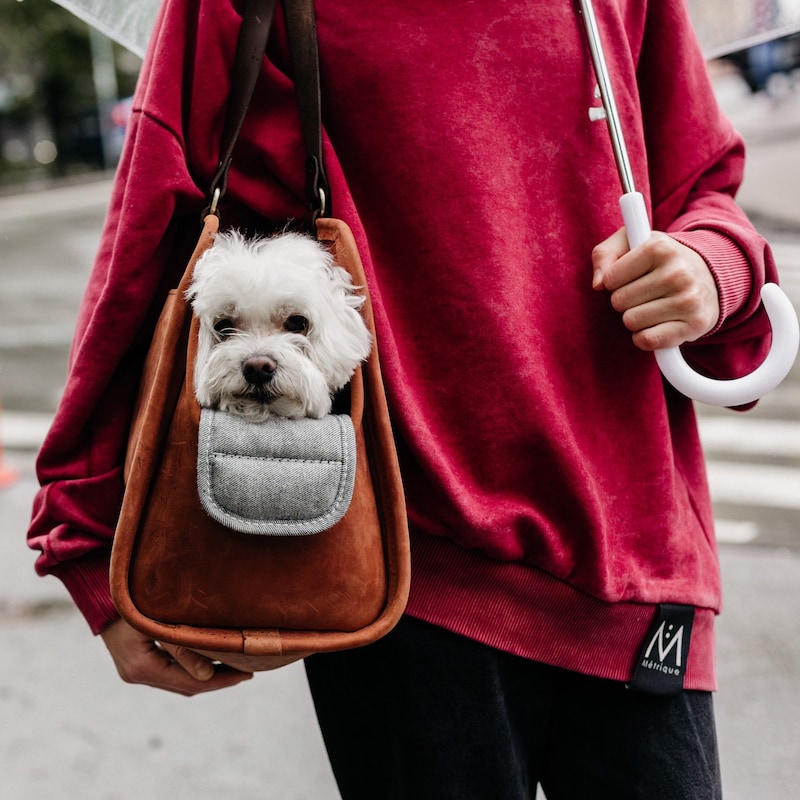 Dog Carrier Purse - Etsy