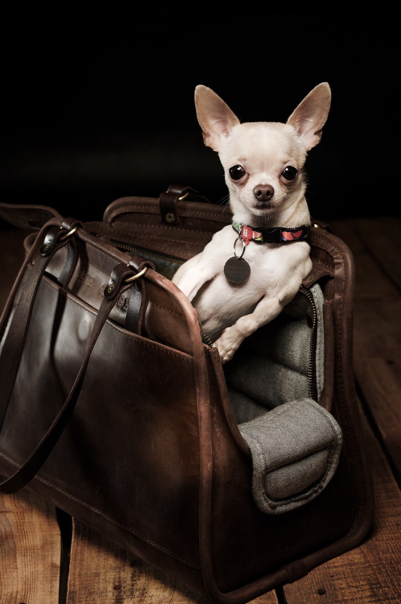 Cat Carrier Purse Cat Gift Leather Cat Tote Travel Portable - Etsy