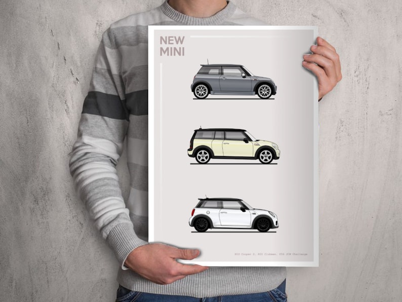 POSTER MINI Evolution Colour - Etsy