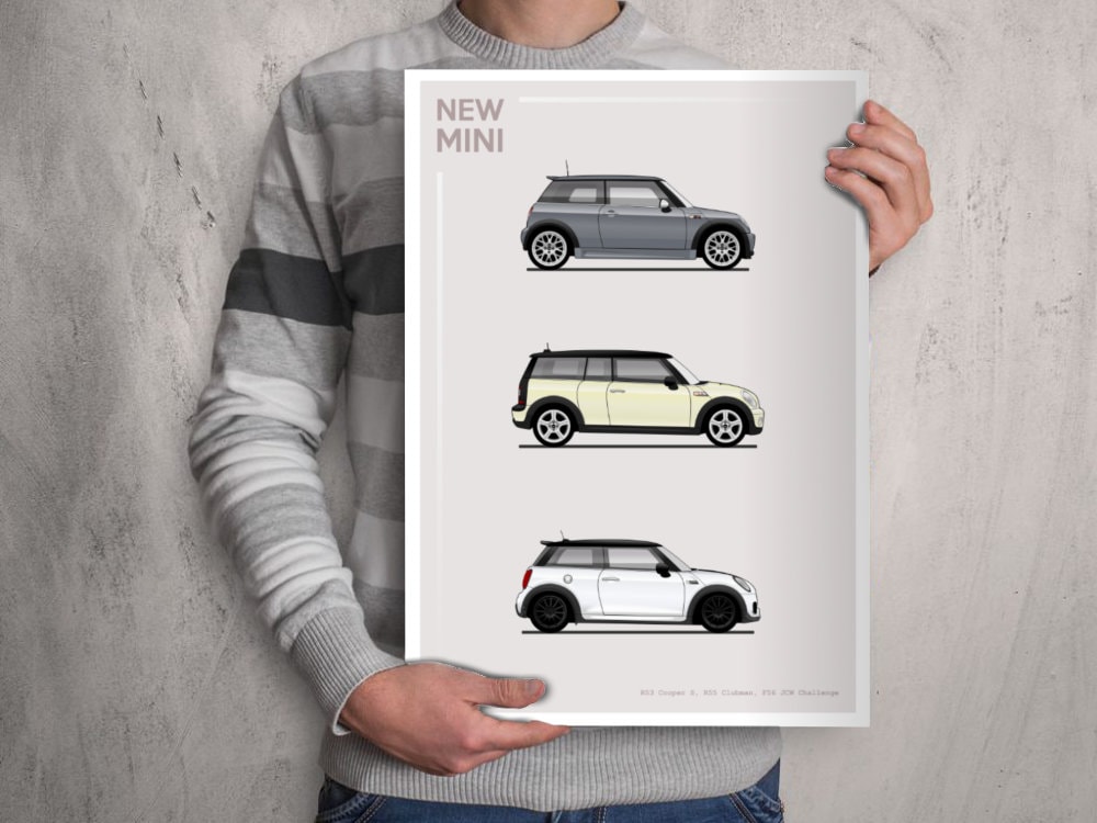 POSTER MINI Evolution Colour - Etsy