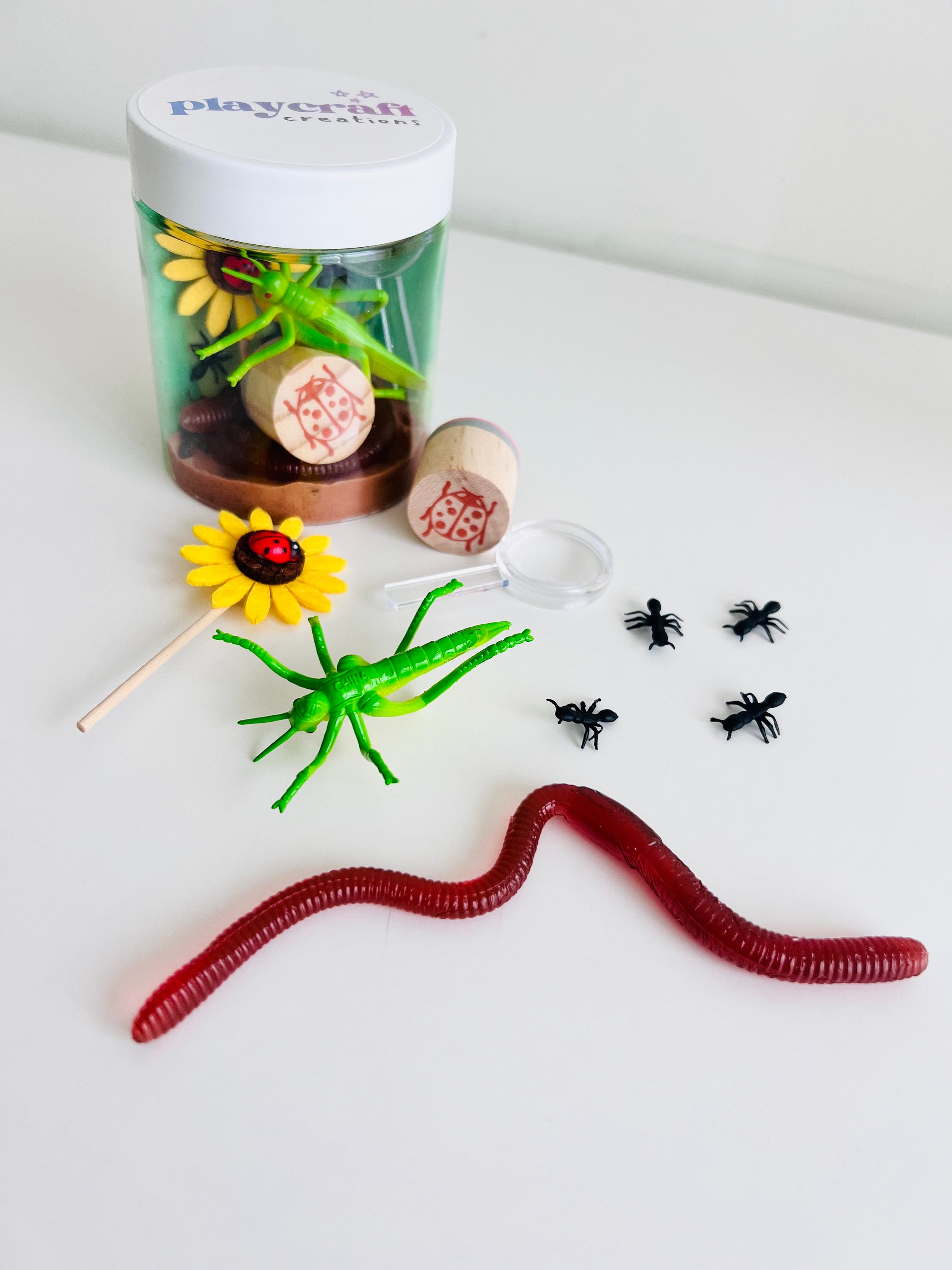 Sensory Jars for Kids Play Dough Jars Insect Sensory Kit Kids - Etsy