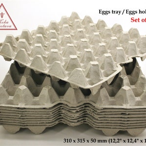Set of 10 Pcs Eggs Holder Eggs Carton Eggs Tray Eggs Plate Farm Eggs ...