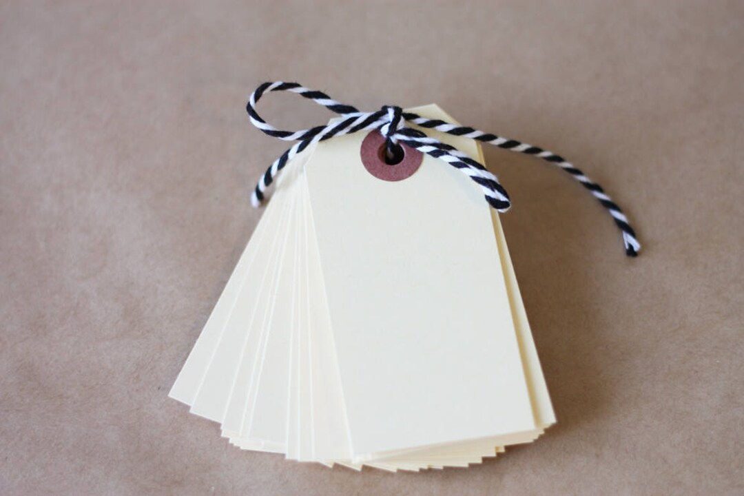 100 Small Hang Tag, 3 1/4" X 1 5/8" Tag, Blank Paper Tags, Inventory ...