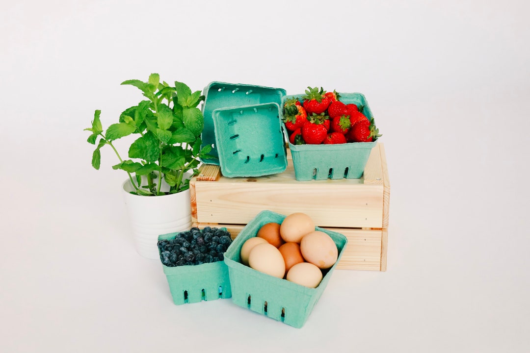 4 Aqua-green LARGE Quart Size Pulp Berry Baskets, Quart Berry Basket ...