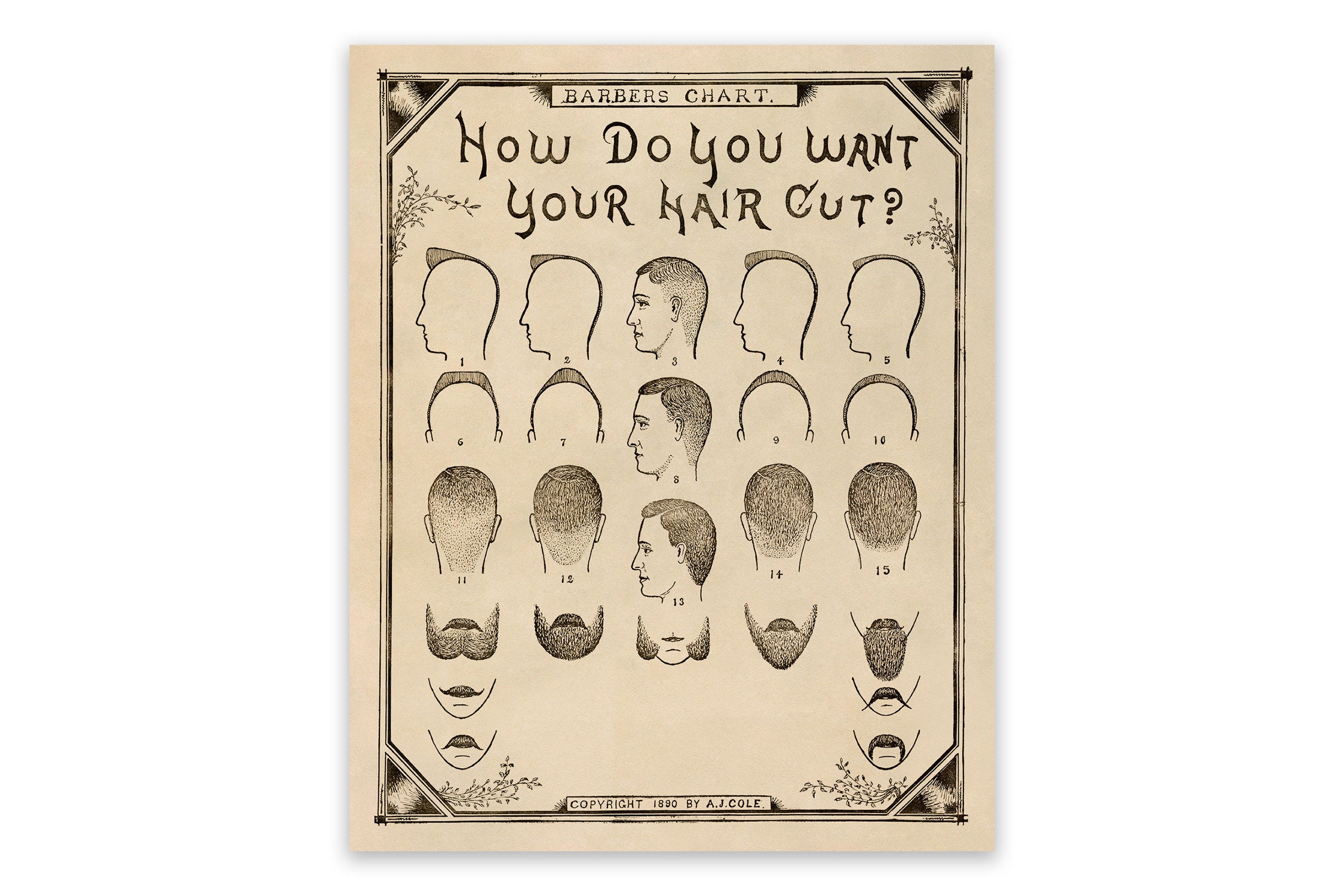 Barber Hair Cutting Chart